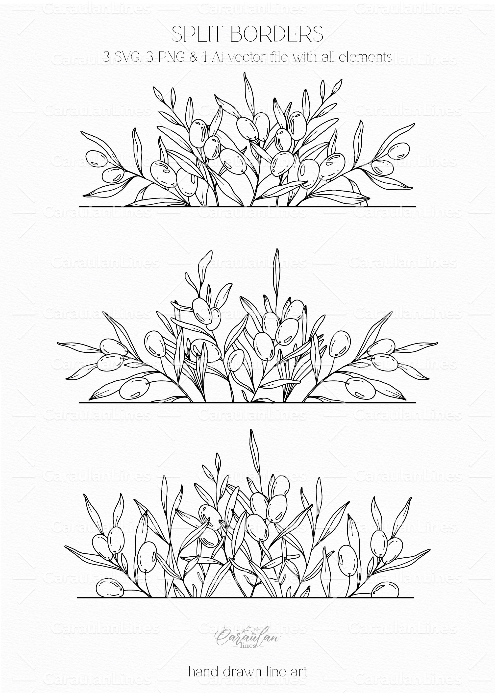 Olive Branch Line Art: Hand Drawn Olive Clipart, Wreath SVG (commercial ...
