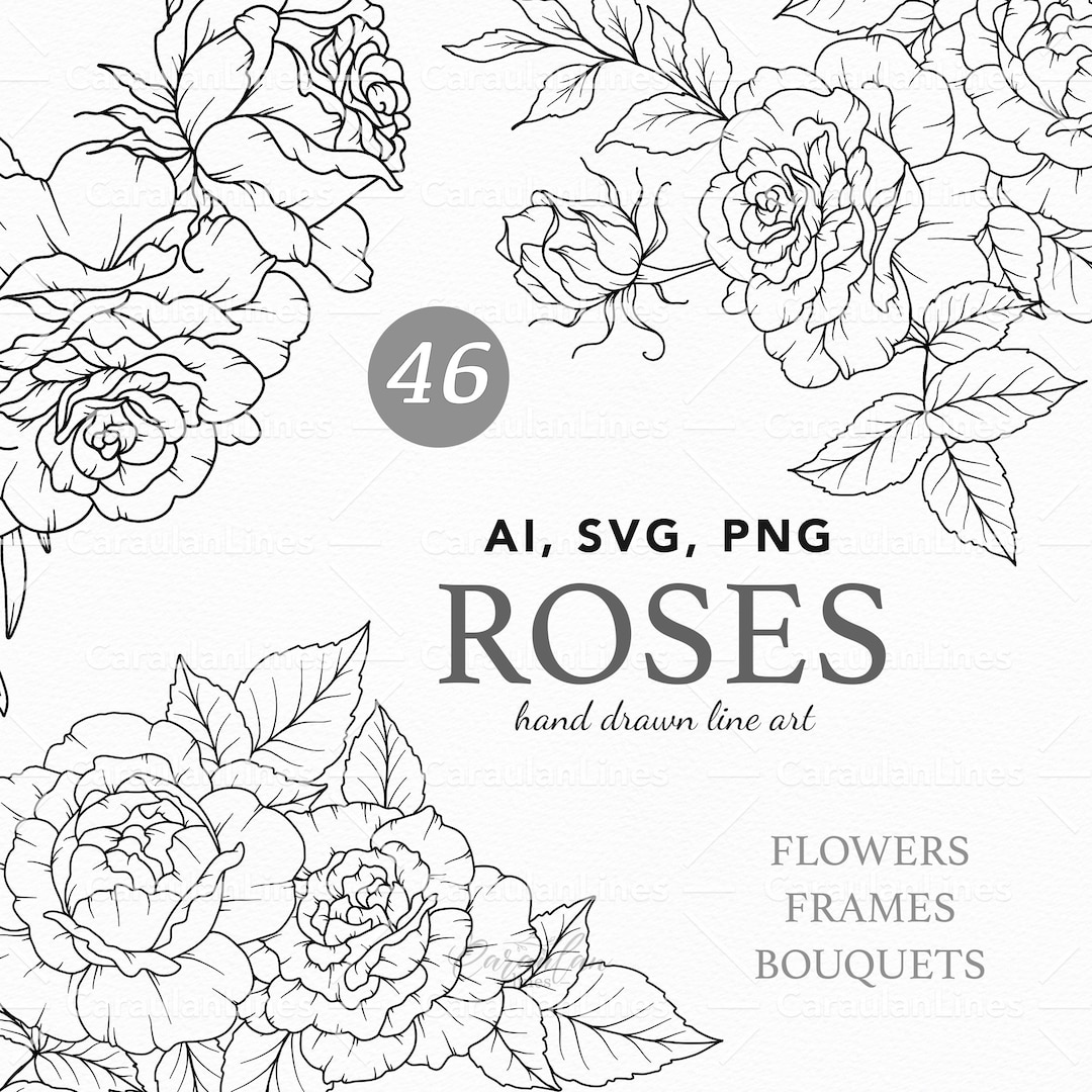 Roses Line Art, Roses SVG, Floral Line Art Svg, Hand Drawn Rose Flowers ...