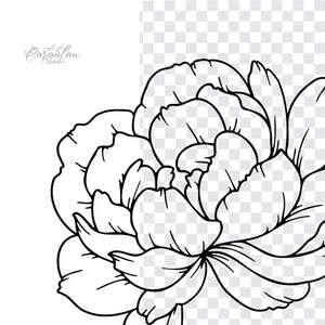 Peony SVG, Peony Silhouette, Black Silhouette of Peony, Floral SVG ...