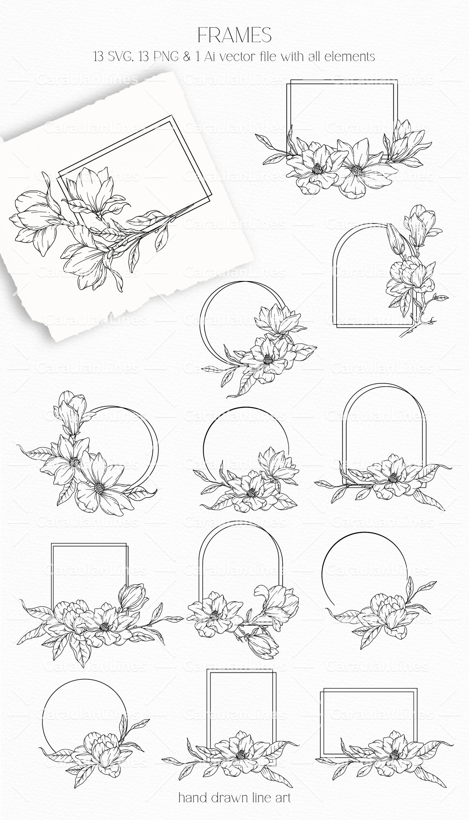 Magnolia Svg, Magnolia Line Drawing SVG, Hand Drawn Magnolia, Botanical ...