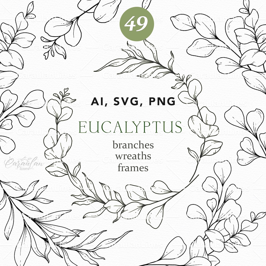 Eucalyptus Line Art SVG Bundle: Hand-drawn Botanical Illustrations ...