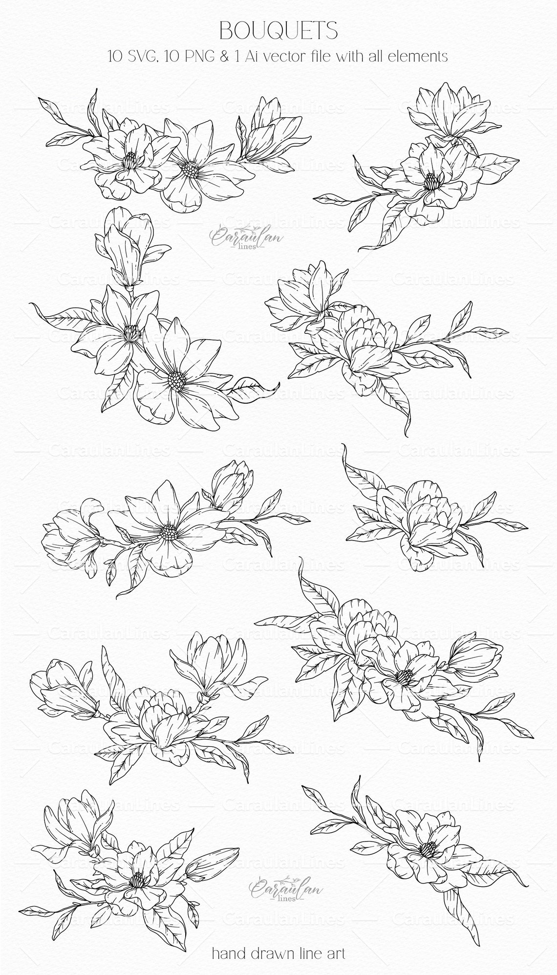 Magnolia Svg, Magnolia Line Drawing SVG, Hand Drawn Magnolia, Botanical ...