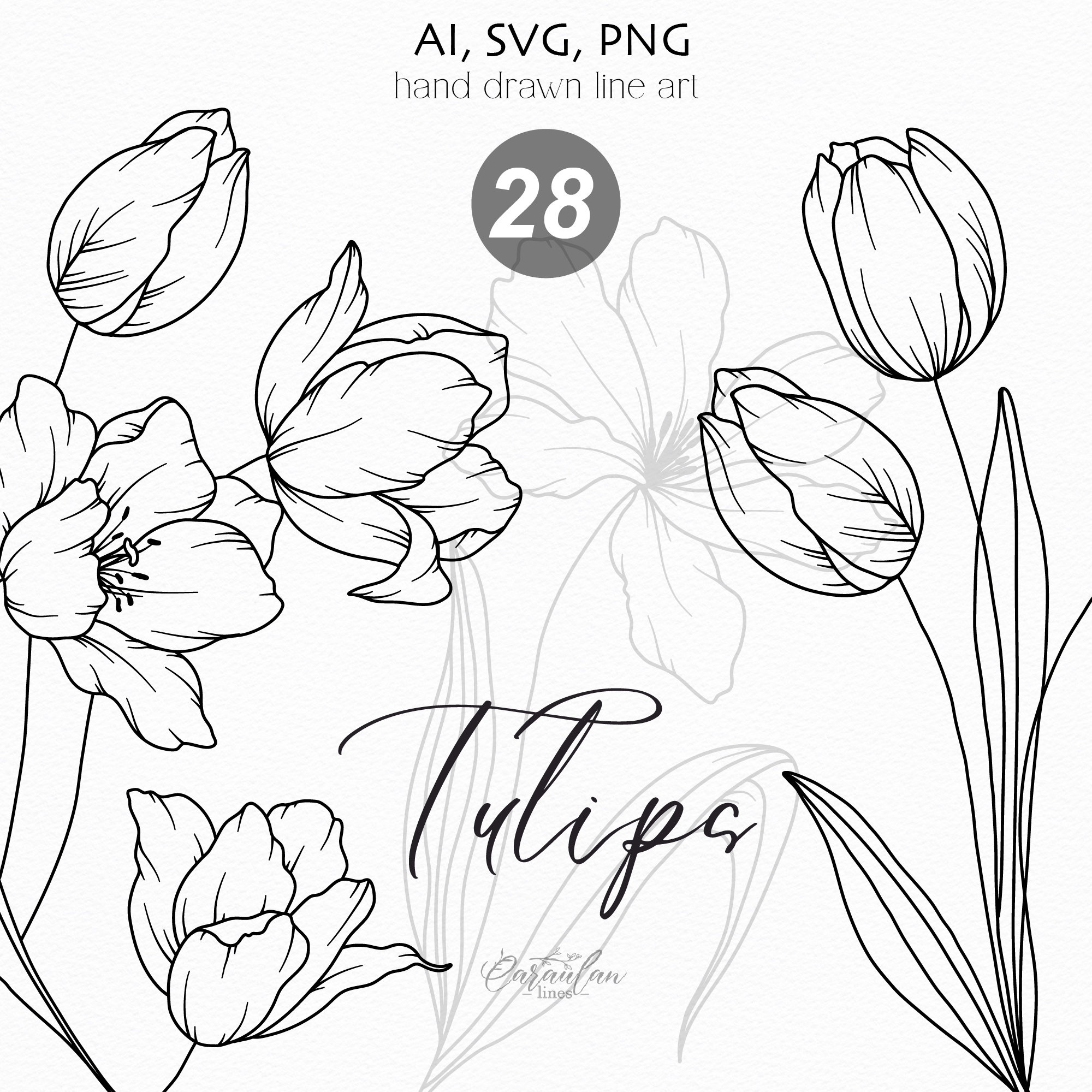 Tulips Line Art, Tulip SVG, Tulips Clipart, Botanical Clipart Svg, Hand Drawn Tulip Flowers ...