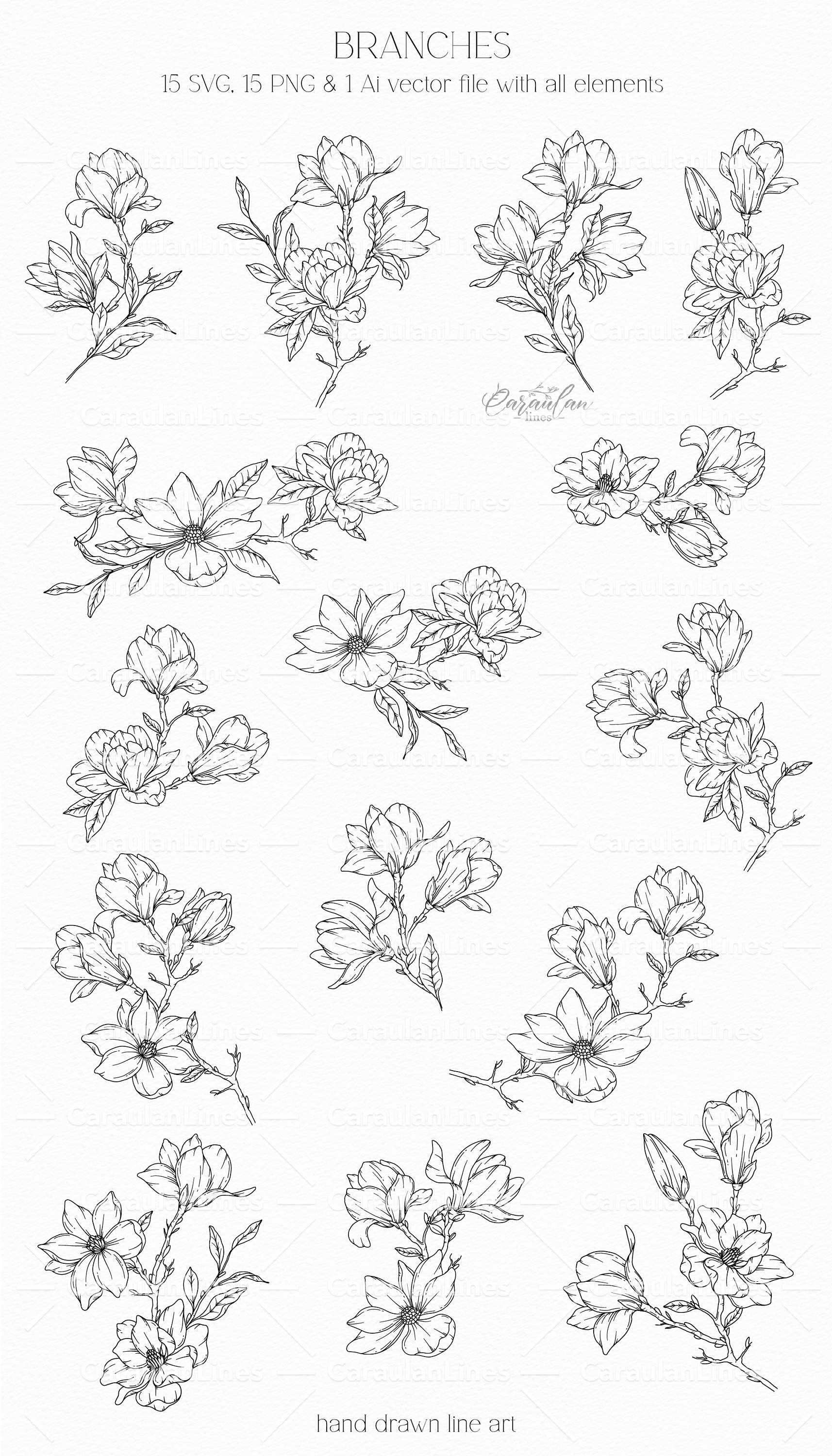 Magnolia Svg, Magnolia Line Drawing SVG, Hand Drawn Magnolia, Botanical ...