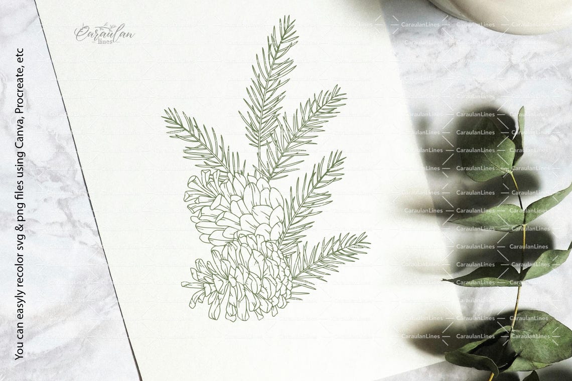 Pine SVG Bundle: Winter Greenery Outline Clipart (commercial Use ...