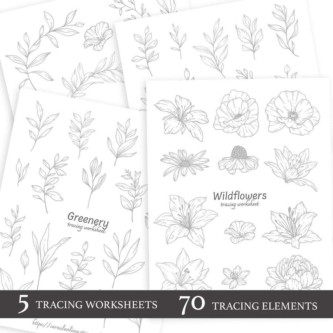 Flower Tracing Worksheet, Flower Tracing Guide, How to Draw Flowers ...