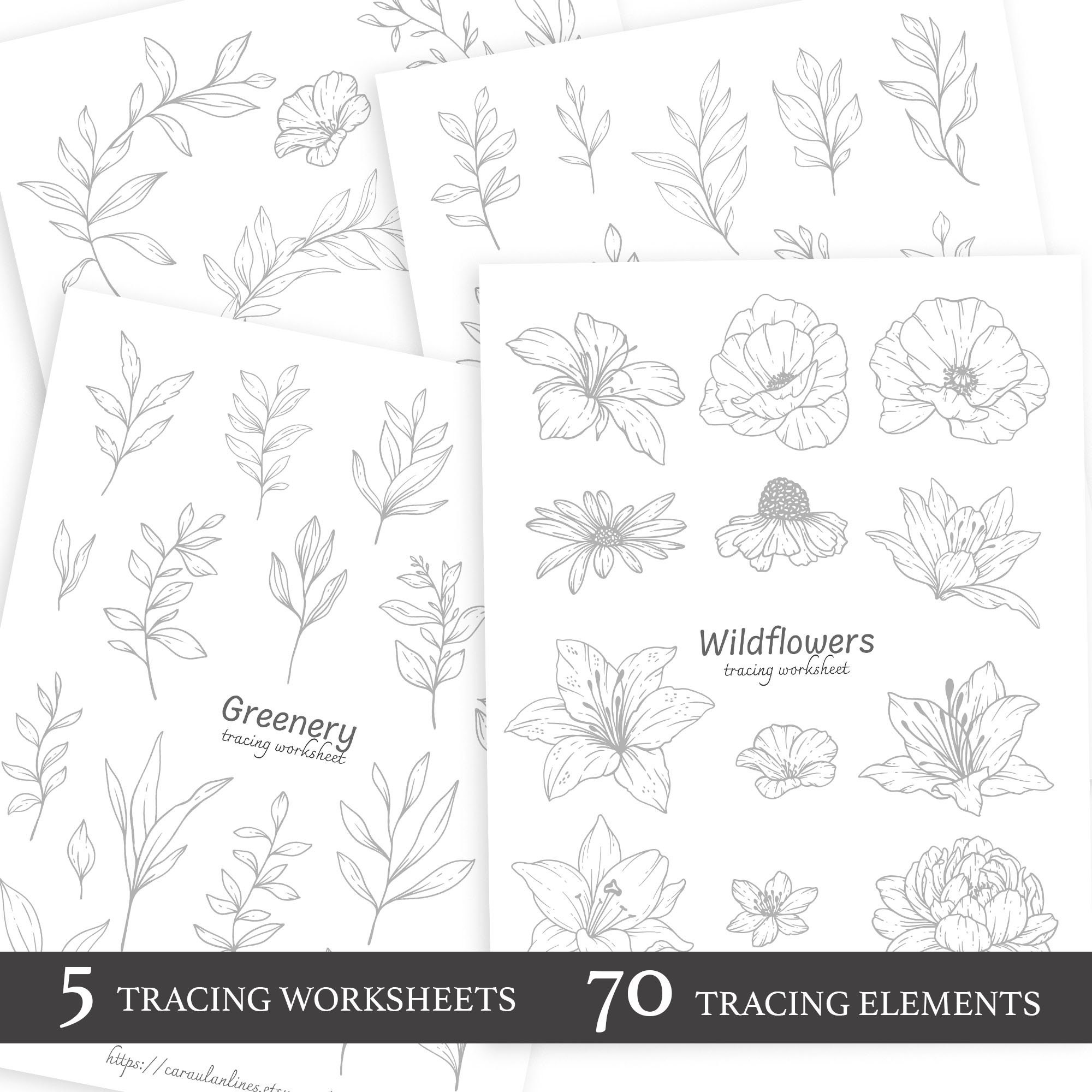 Flower Tracing Worksheet, Flower Tracing Guide, How to Draw Flowers ...