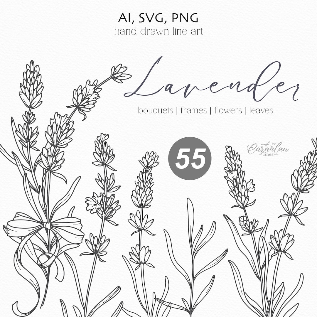 Lavender Line Art, Lavender SVG, Botanical Clipart Svg, Hand Drawn ...