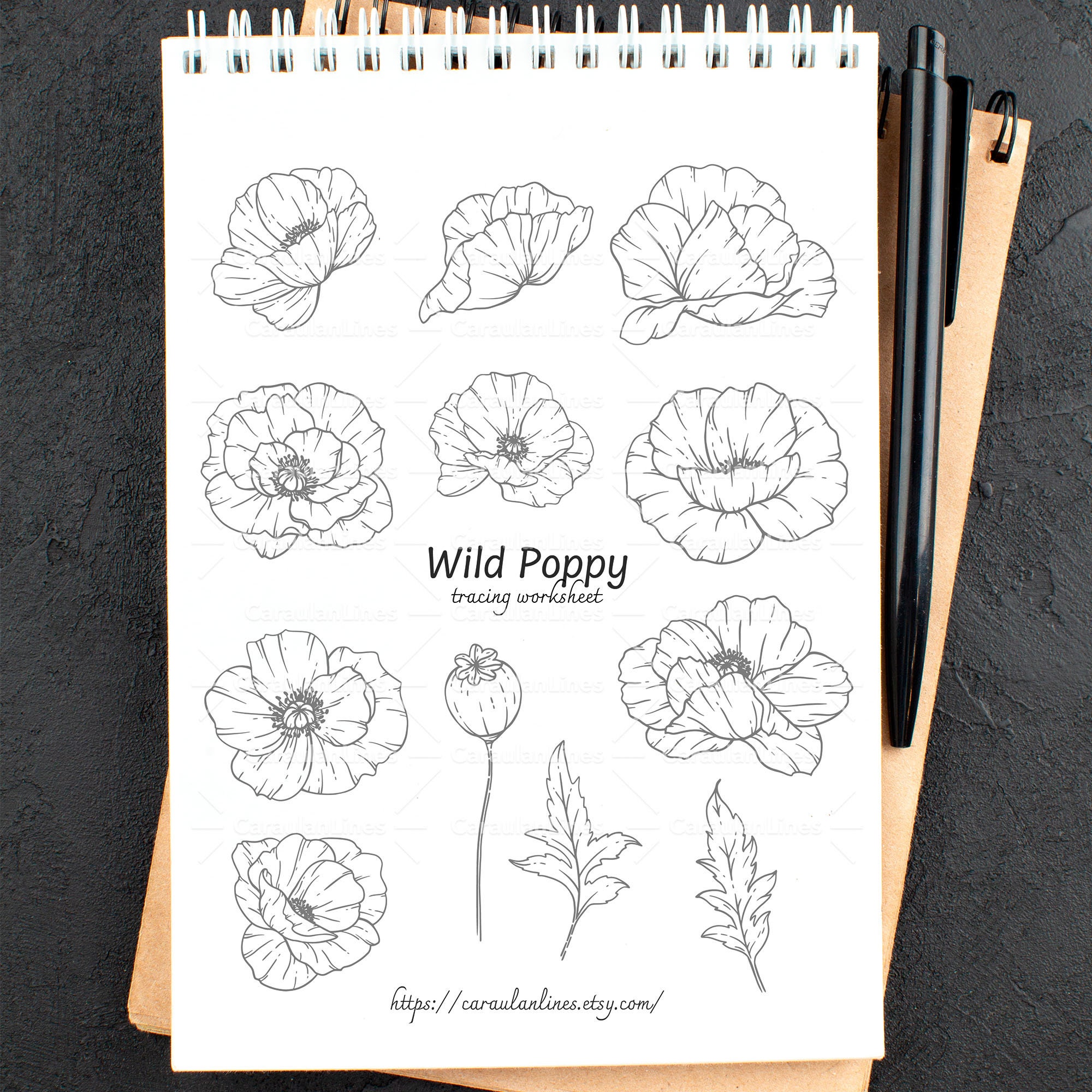 Flower Tracing Worksheet Flower Tracing Guide How to Draw - Etsy