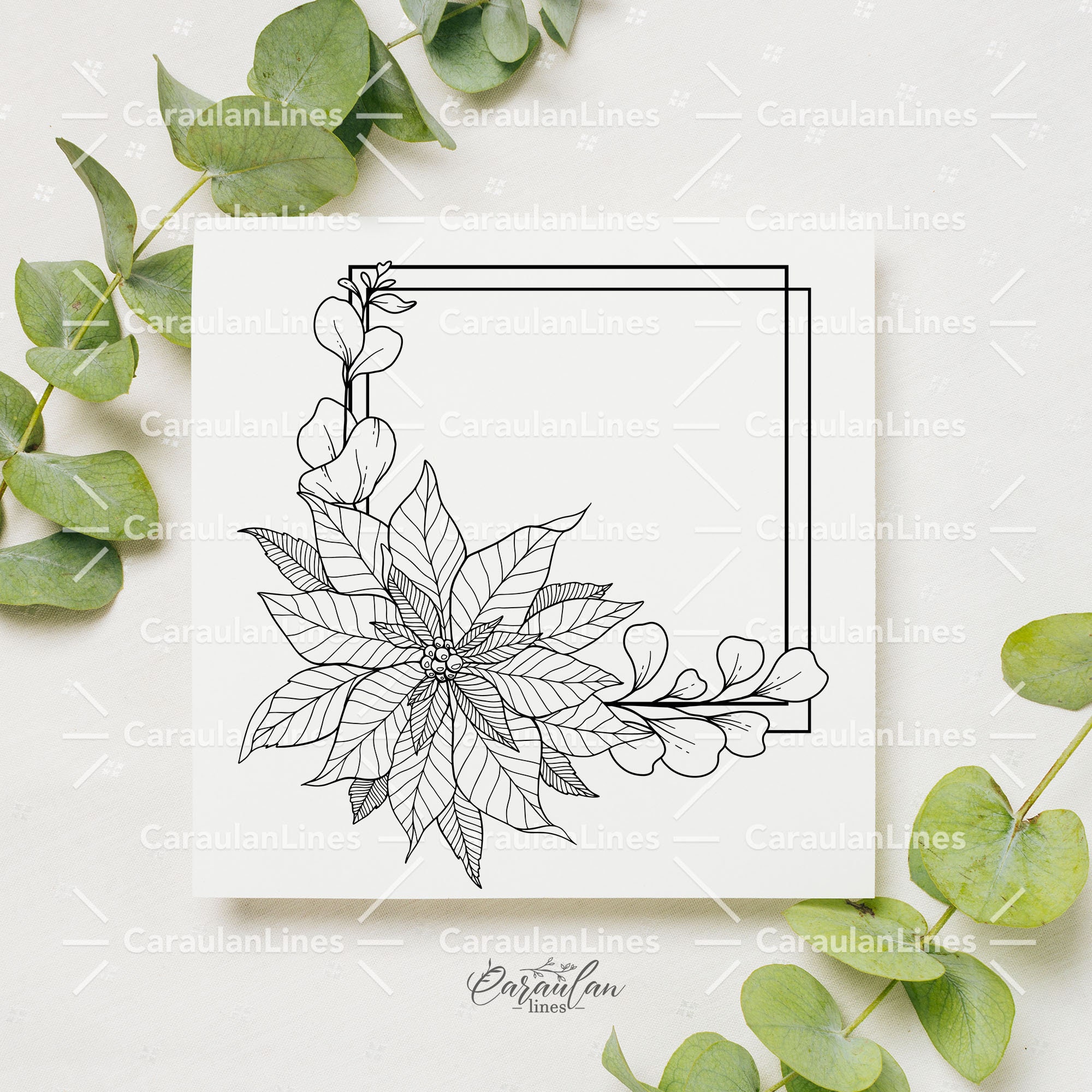 Christmas Svg, Christmas Line Art SVG, Hand Drawn Poinsettia Line Art ...