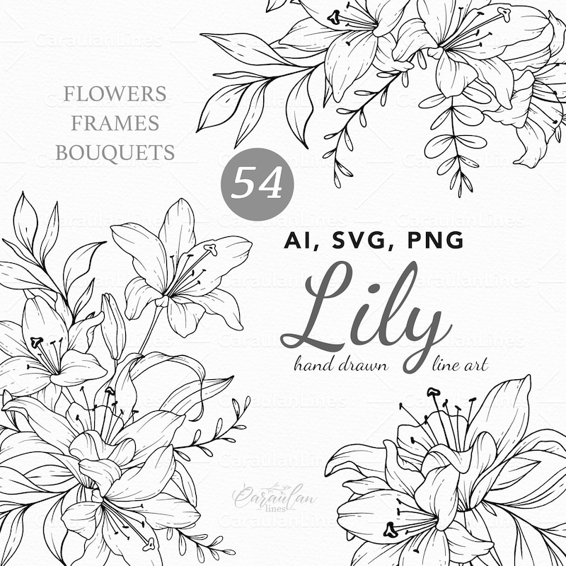 Lily Svg - Etsy