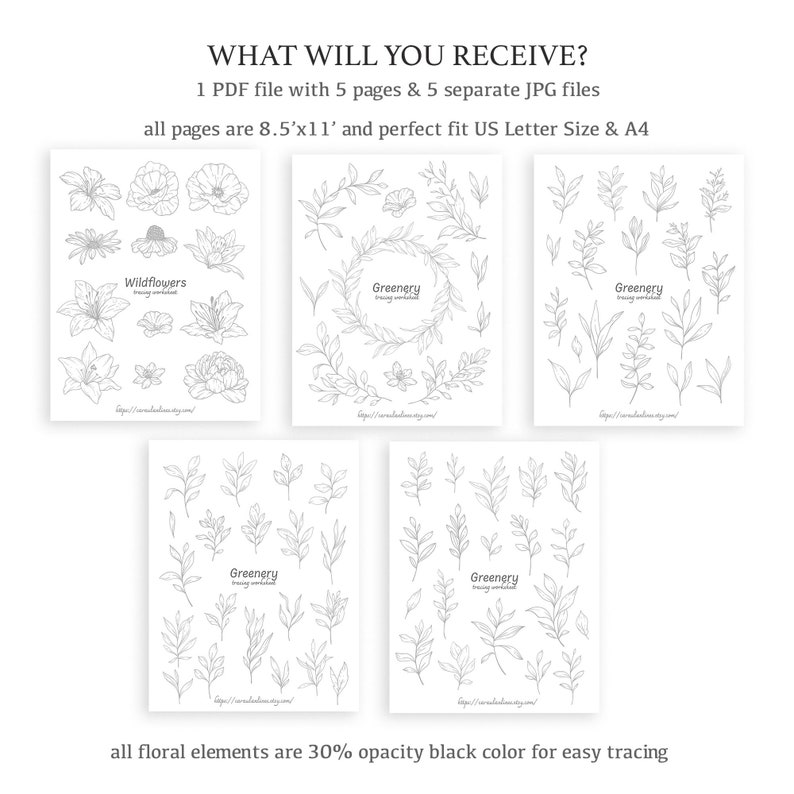 Flower Tracing Worksheet, Flower Tracing Guide, How to Draw Flowers ...