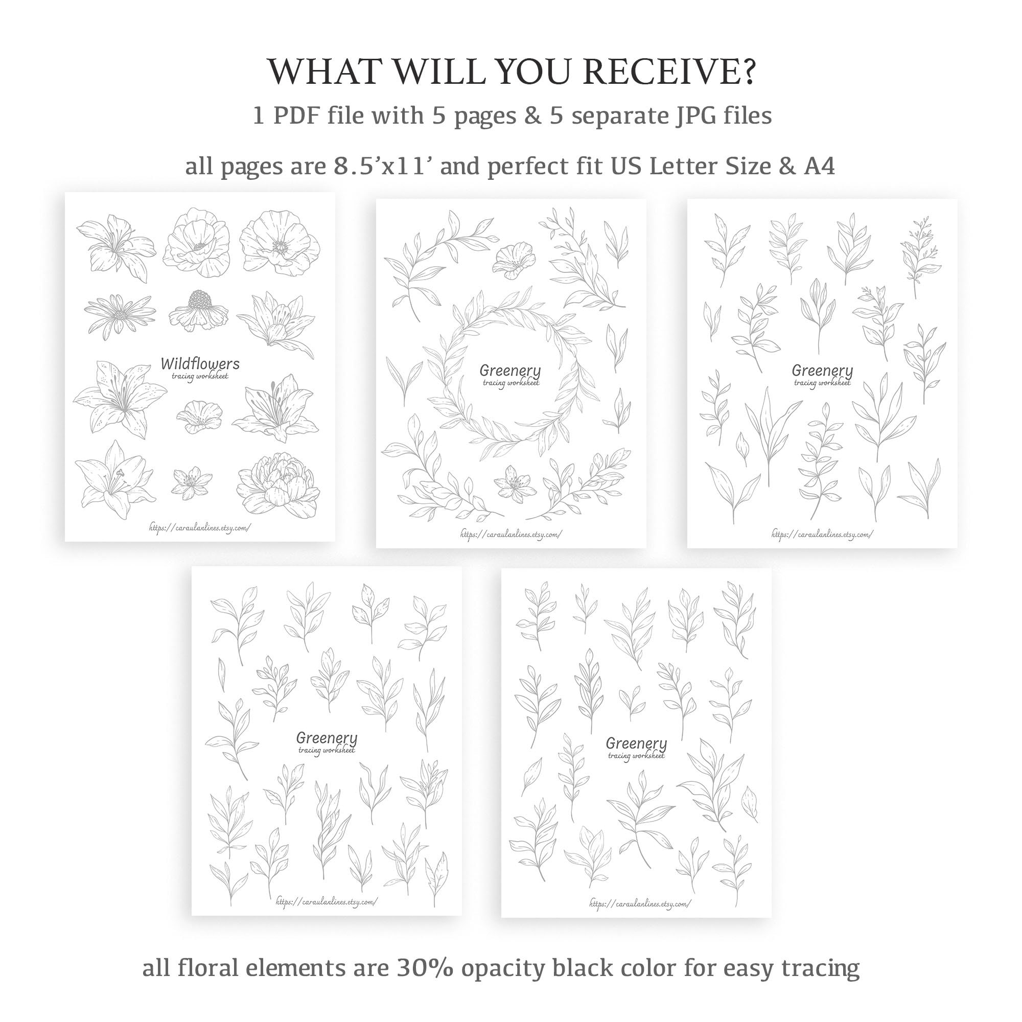 Flower Tracing Worksheet, Flower Tracing Guide, How to Draw Flowers ...