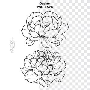 Peony SVG, Peony Silhouette, Black Silhouette of Peony, Floral SVG ...