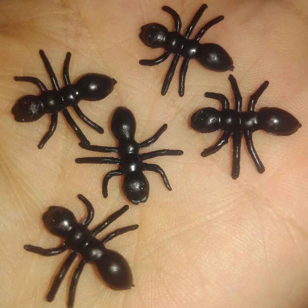 20 Realistic Rubber Ants - Etsy