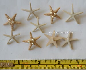 Starfish Shank Buttons - Etsy