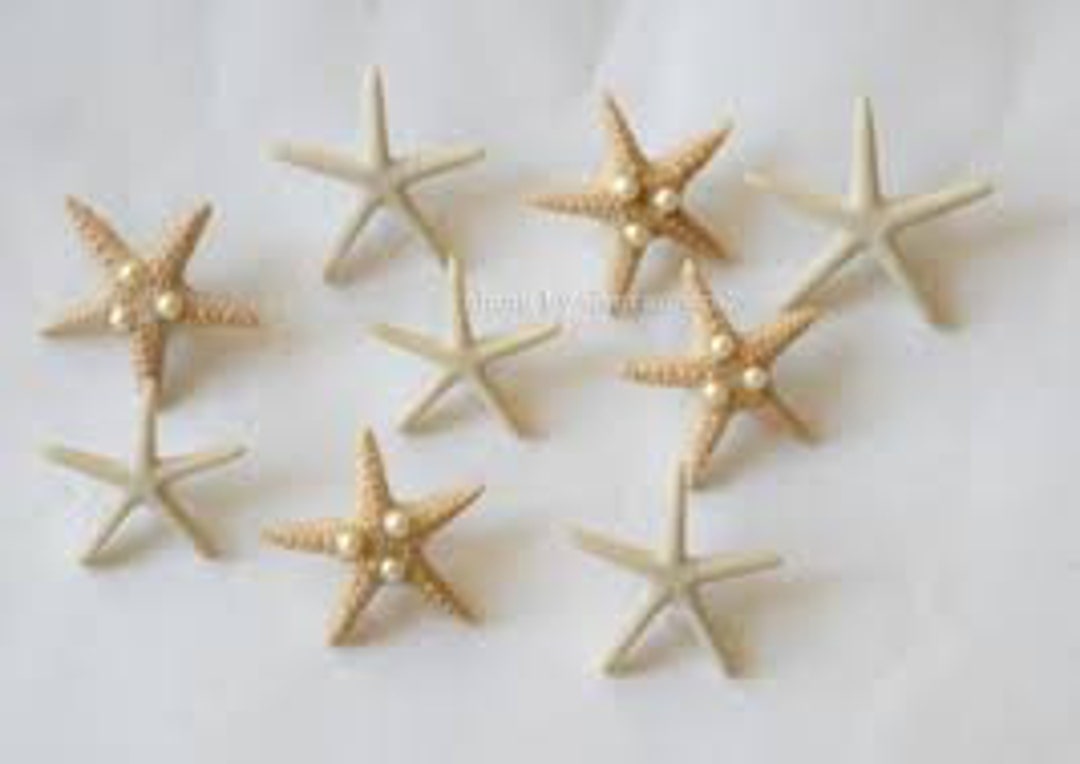 Starfish Shank Buttons - Etsy