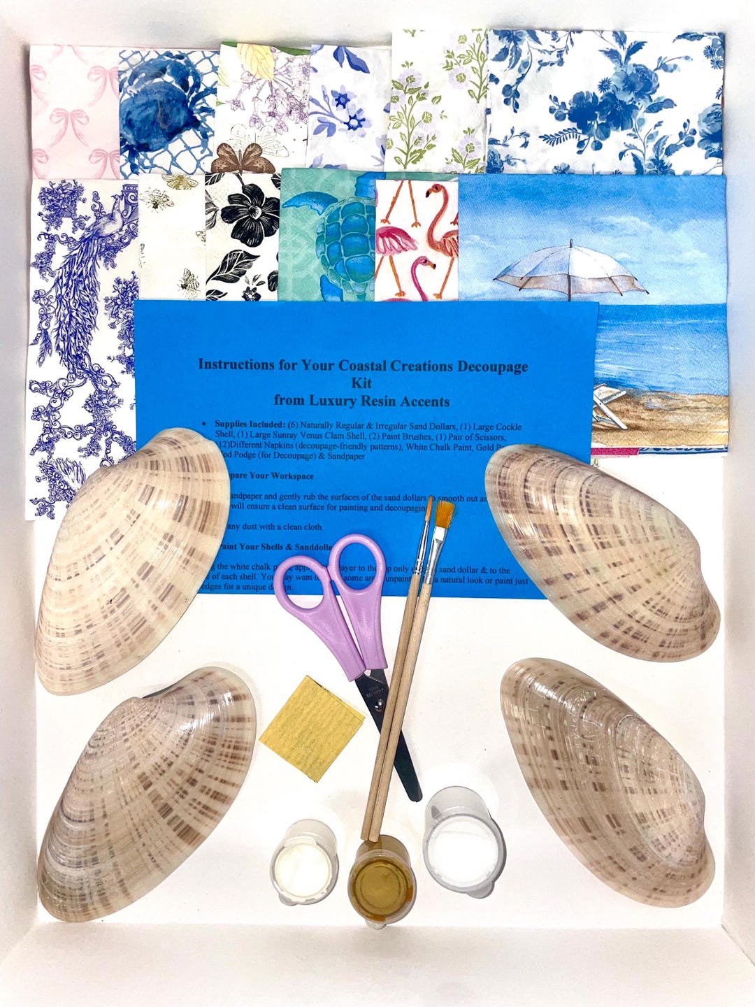 DIY Decoupage Coastal Venus Sunray Clamshell Kit, Craft Kit, Beach ...
