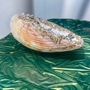 Decoupage Florida Cockle Shell Jewelry Dish, Trinket Tray, Handmade ...