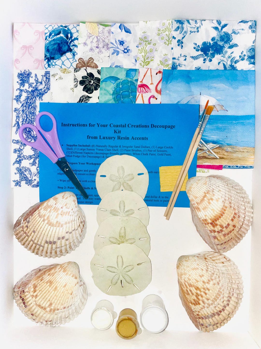 DIY Decoupage Coastal Cockle Shell Kit, Craft Kit, Beach Themed Gift ...