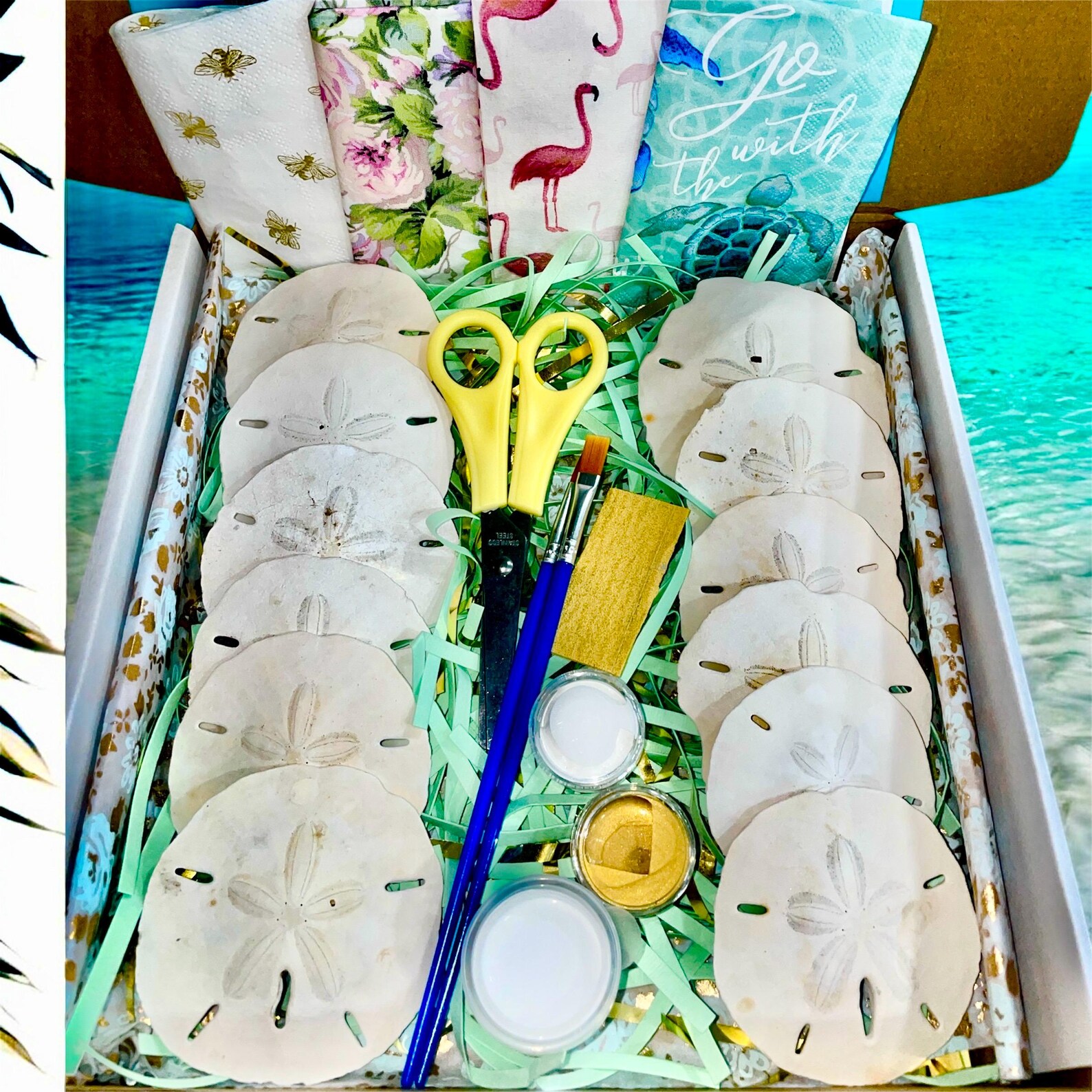 DIY Decoupage Florida Sand Dollar Craft Kit, Decoupage Kit, DIY Kits ...