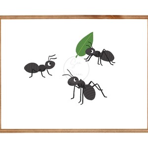 Ants Digital Art, Ants Clipart, Digital Ants Drawing, Hand-drawn Ants ...