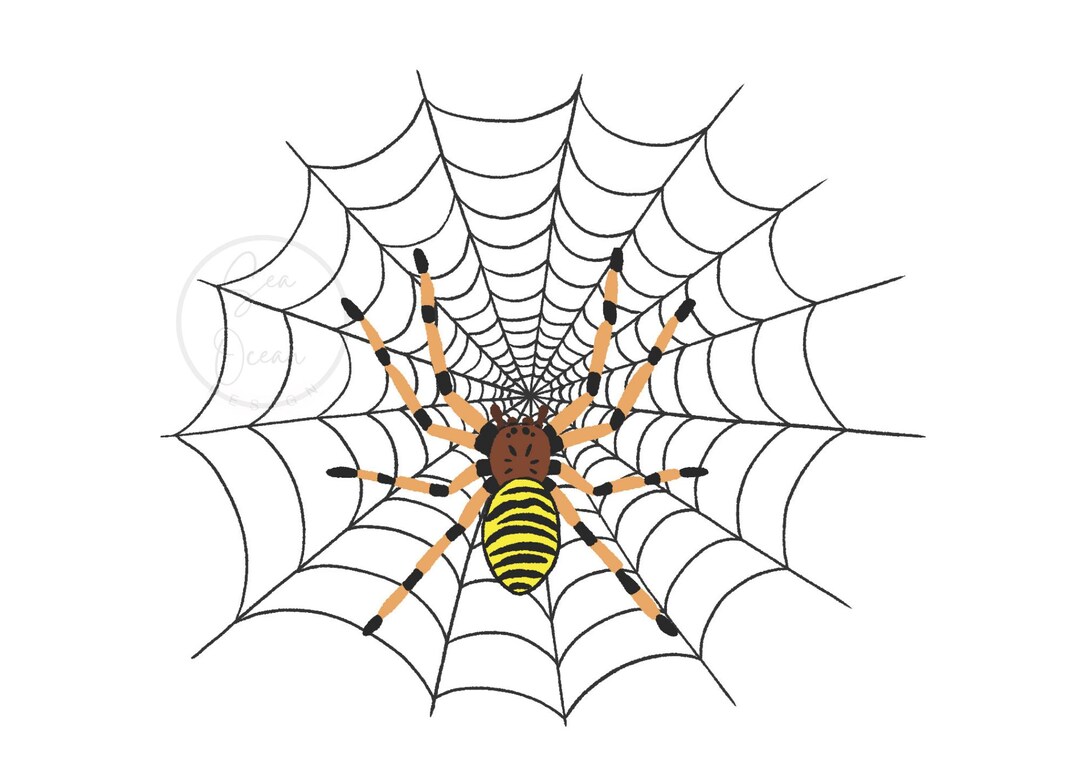 Spider Web Clipart, Digital Spider Web Drawing, Hand-drawn Spider Web ...