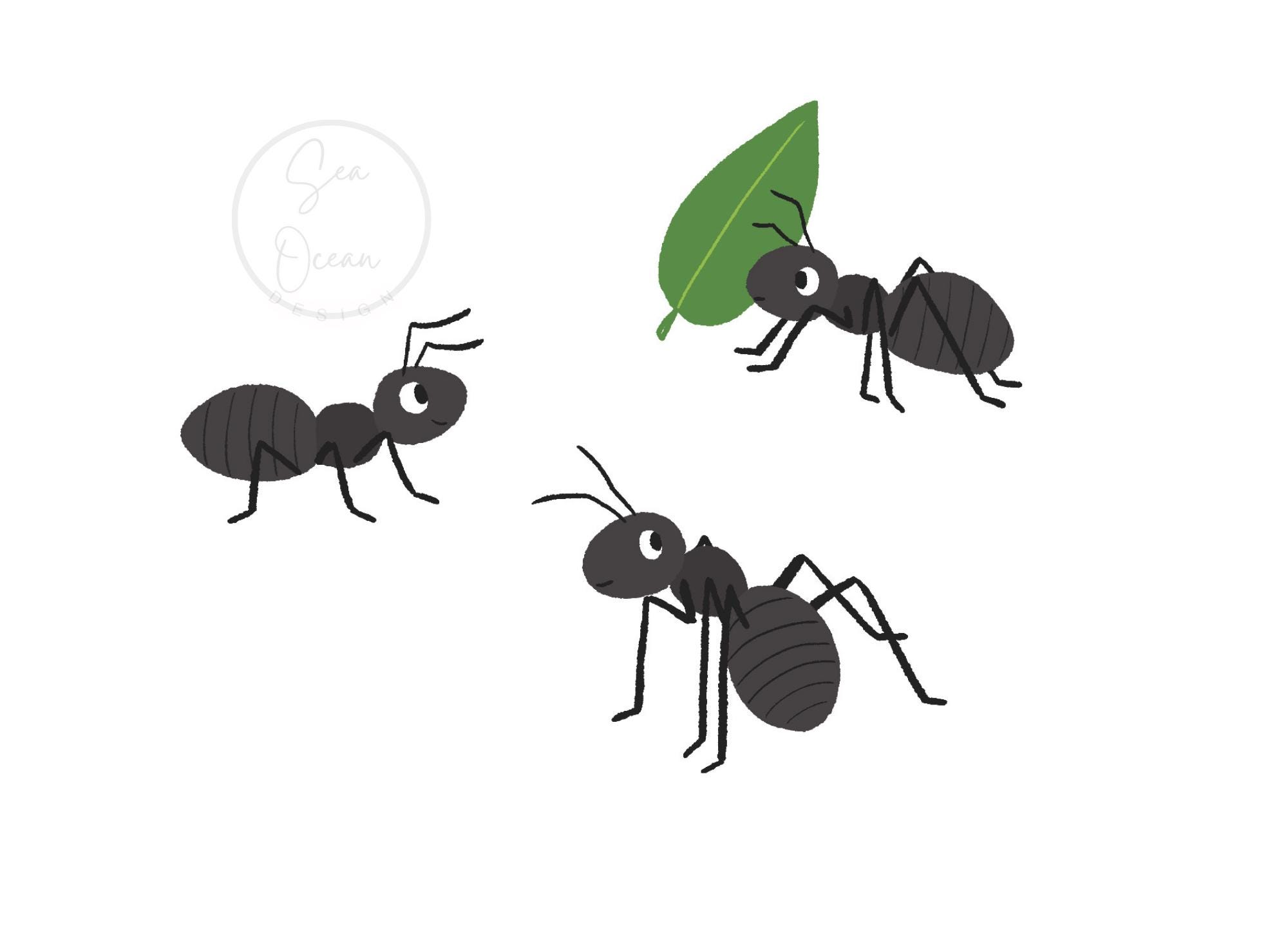 Ants Digital Art, Ants Clipart, Digital Ants Drawing, Hand-drawn Ants ...