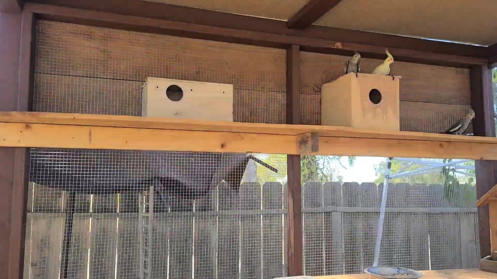 DIY Walk in Bird Aviary 8x16 Plans PDF - Etsy