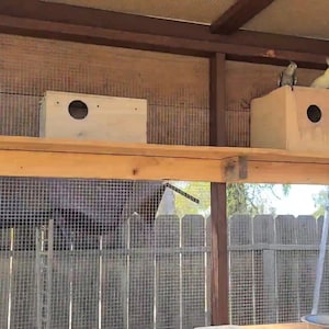 DIY Walk in Bird Aviary 8x16 | Plans | PDF - Etsy