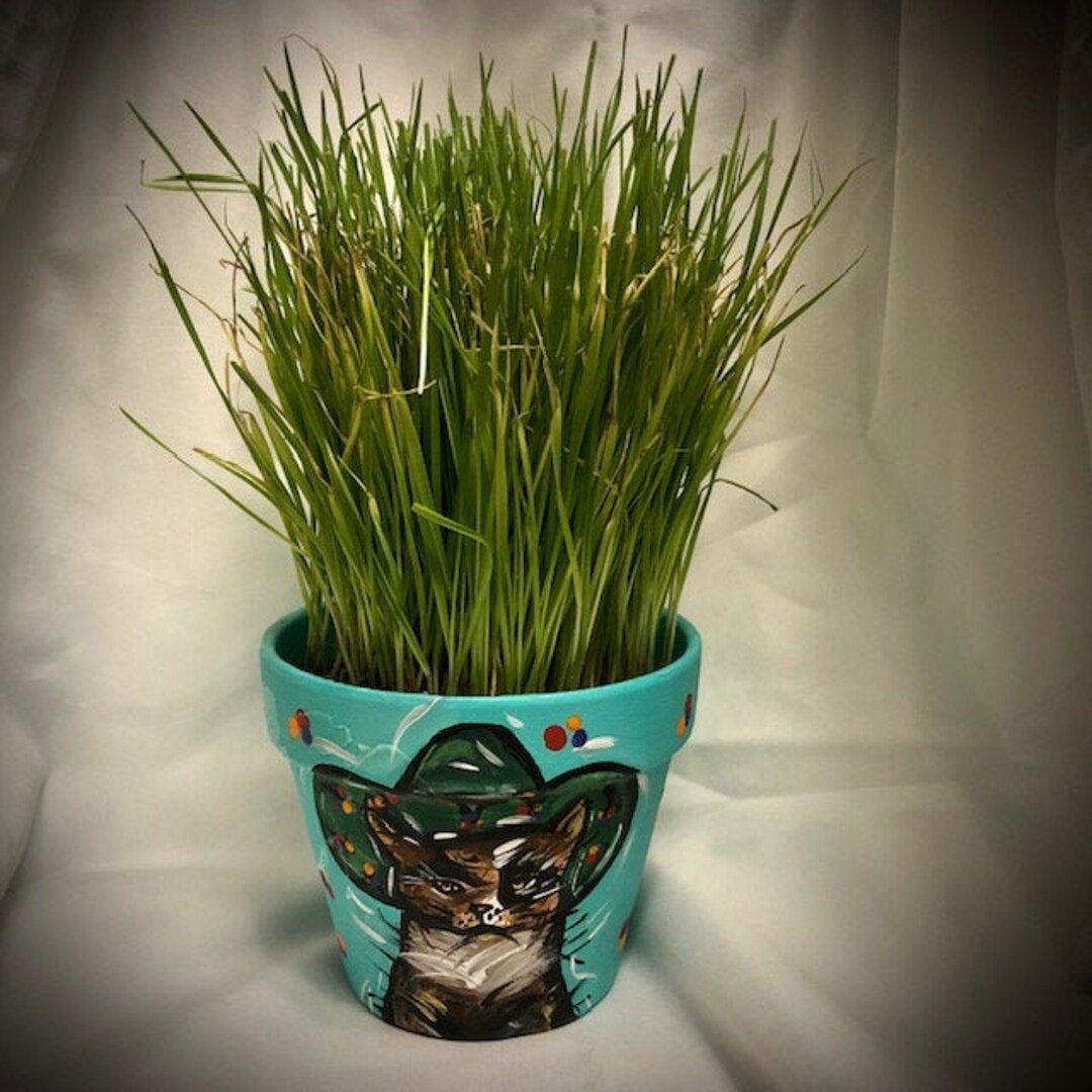 Custom Cat Grass Planter - Etsy