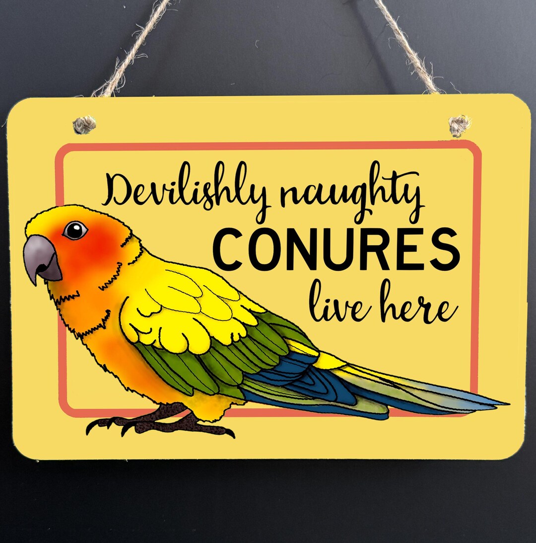 Personalised Sun Conure Lives Here Novelty Wall or Door Sign - Etsy