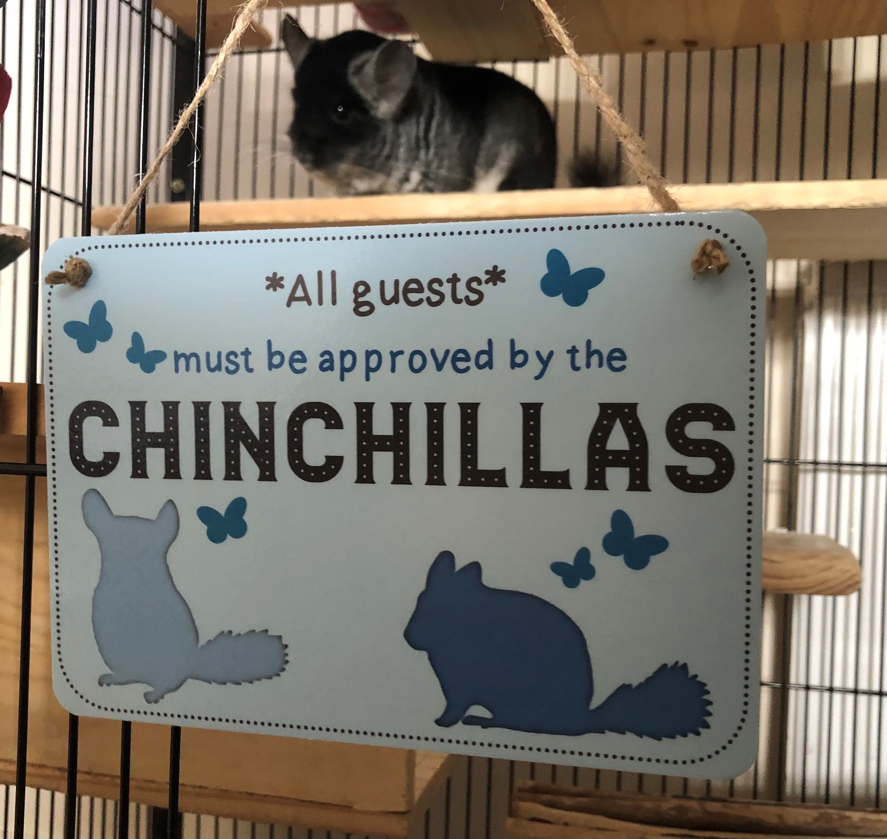 All Guests Must Be Approved by the Chinchillas Sign - Etsy