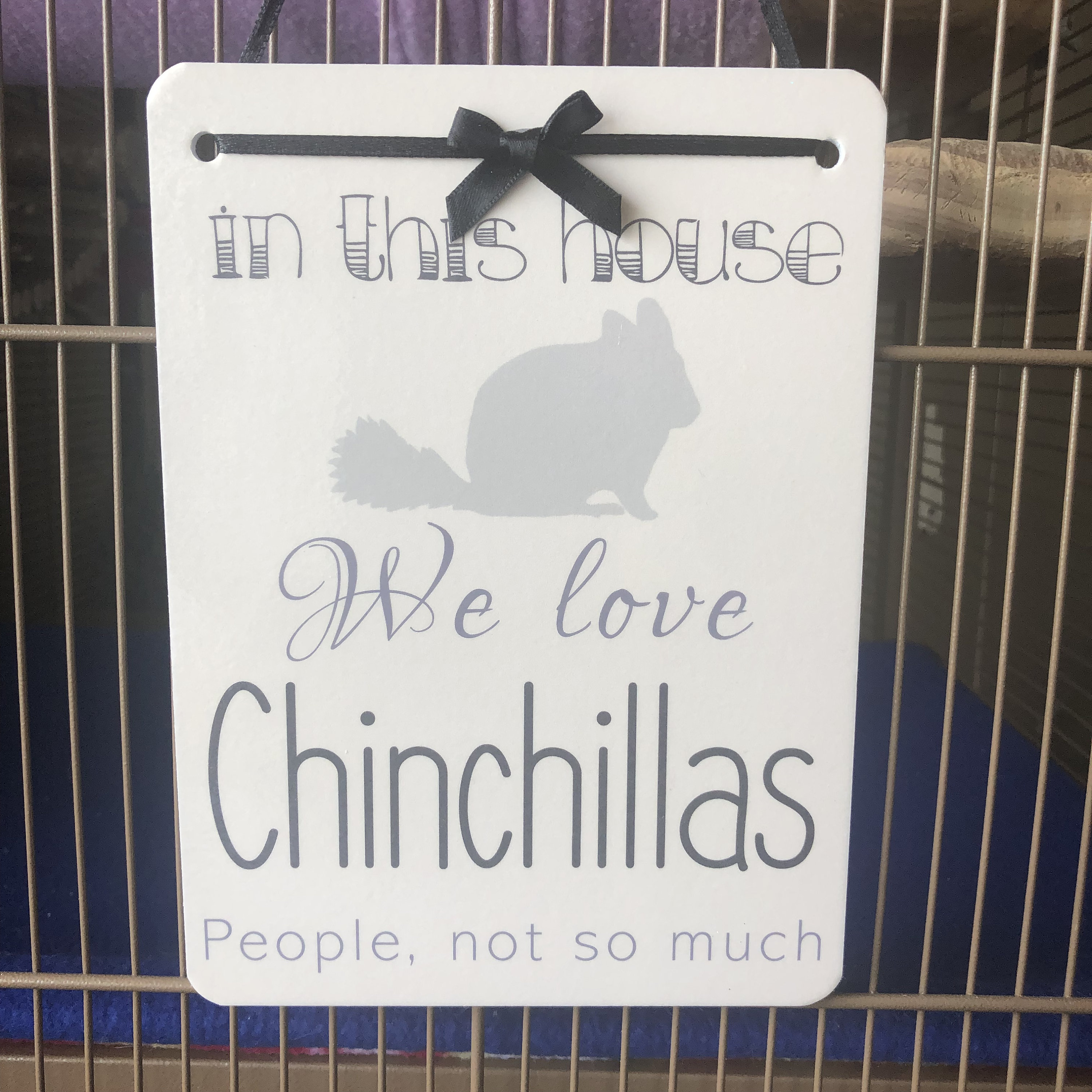 Chinchilla Lovers - Novelty Welcome Sign - Etsy