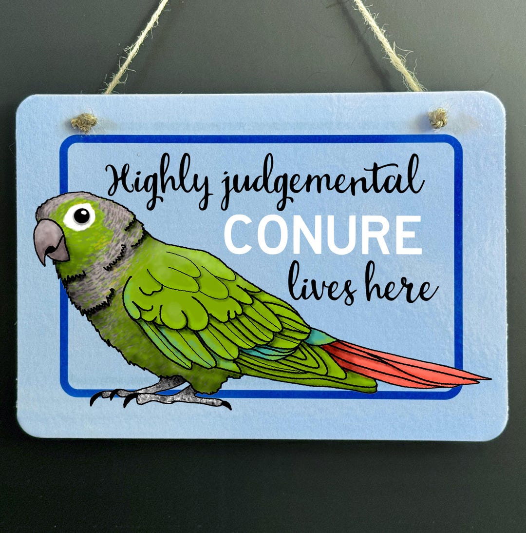Personalised Green Cheek Conure Lives Here Novelty Wall or Door Sign - Etsy