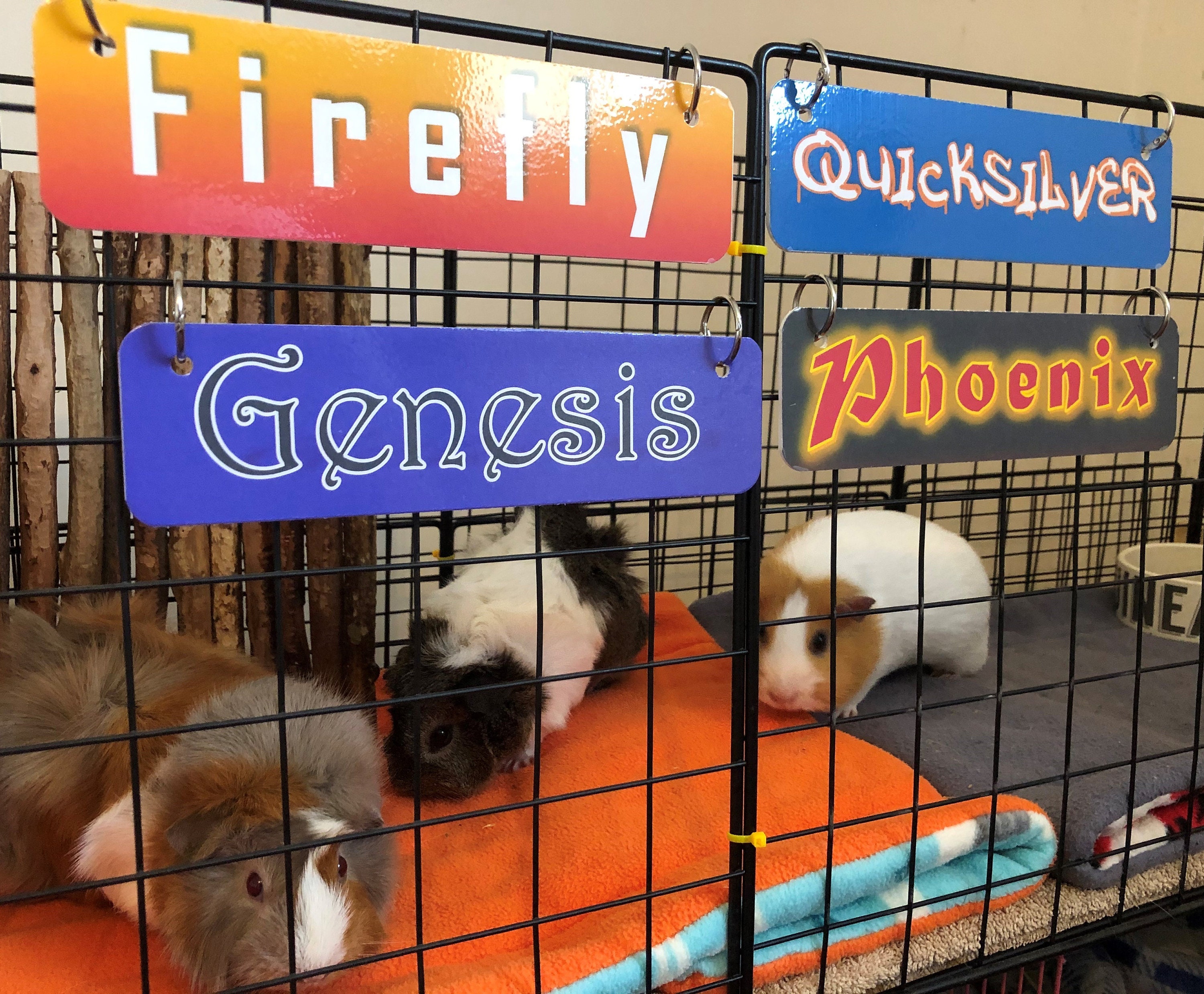 Personalised Pet Name Sign Cage Accessory | Etsy UK