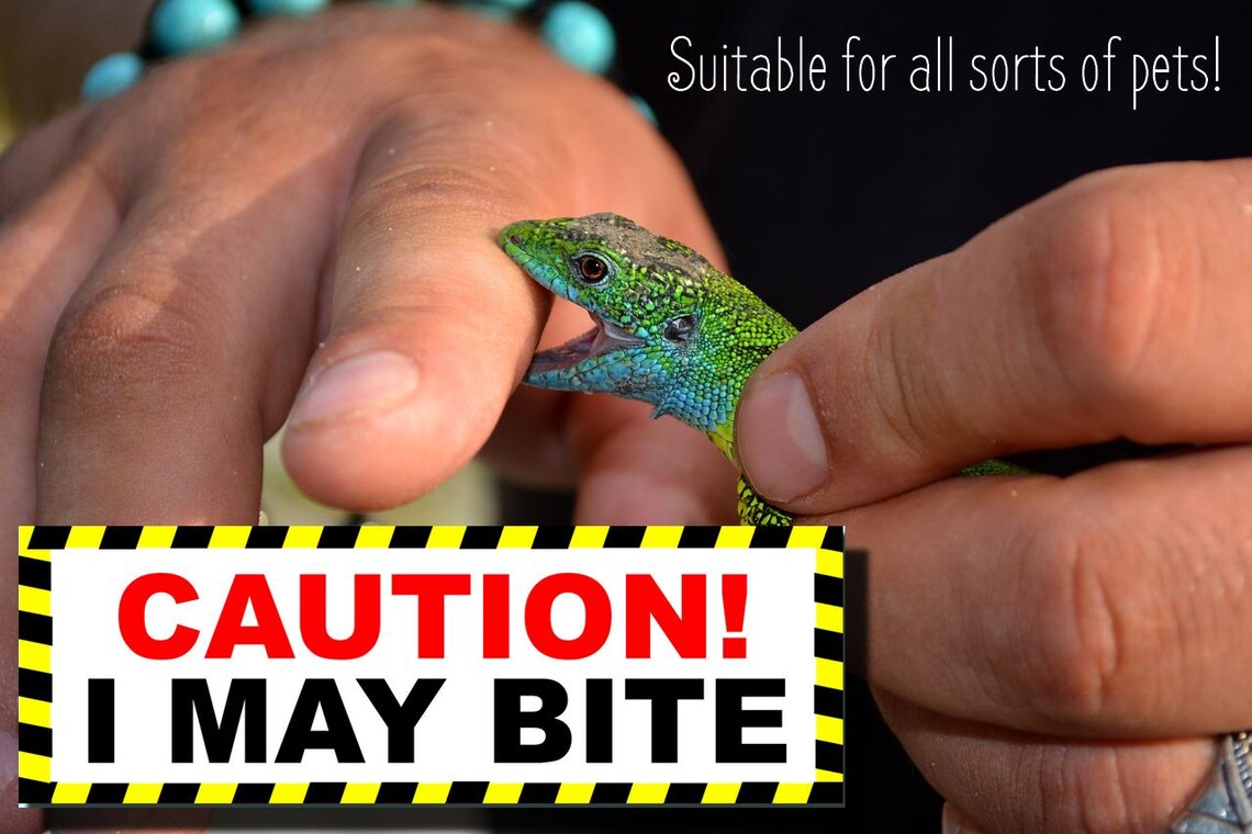 Caution! I May Bite Indoor Warning Sign - Etsy
