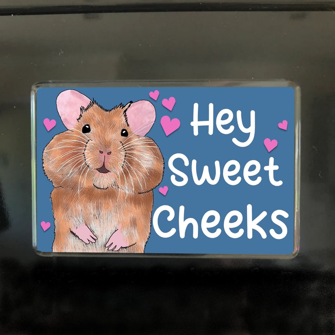 Novelty Hamster Fridge Magnet: Hey Sweet Cheeks - Etsy