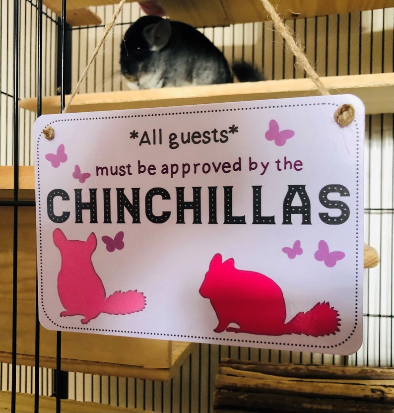 All Guests Must Be Approved by the Chinchillas Sign - Etsy UK