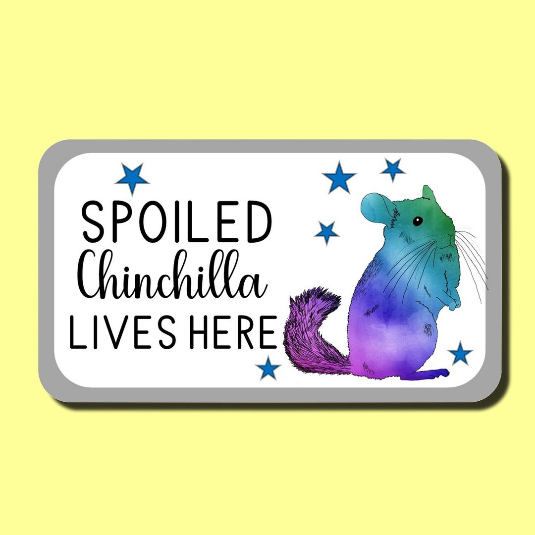 Spoiled Chinchillas Live Here Novelty Decorative Sign for Chinchilla ...
