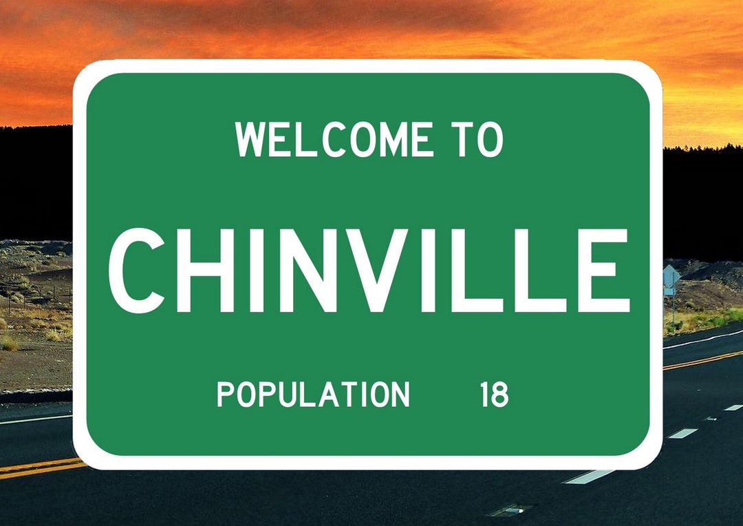 Welcome to Chinville Novelty Road Sign Chinchilla Lover Decoration - Etsy