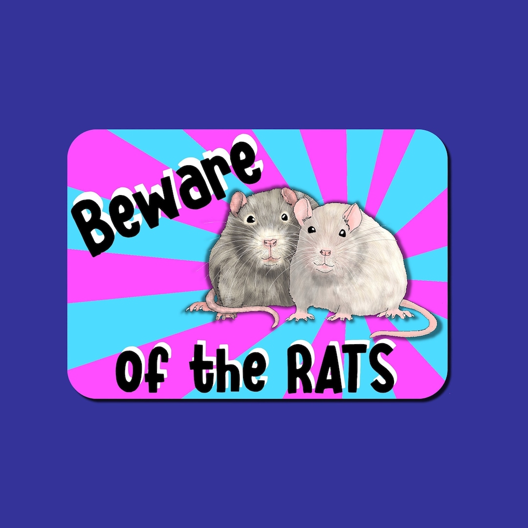 Beware of the RATS Novelty Illustrated Sign for Rat Owners and Lovers - Blue and Pink - Etsy