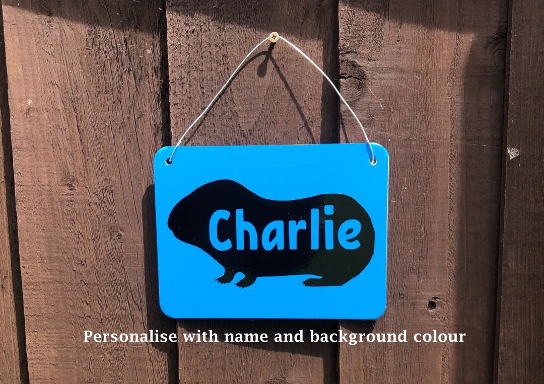 Outdoor Guinea Pig Name Sign for Hutch or Cage - Etsy