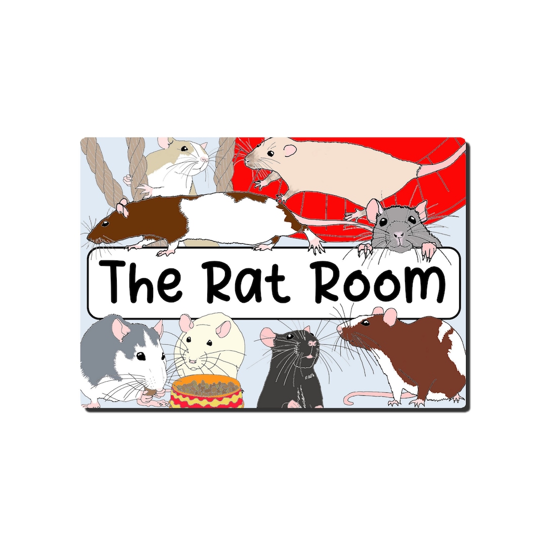 The Rat Room - Novelty Illustrated Colour Wall or Door Sign - Etsy