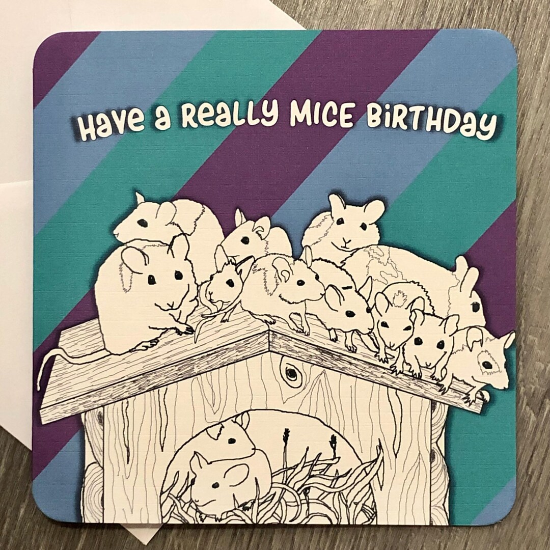 Mice Mouse Birthday Card - Have a Really MICE Birthday - Etsy