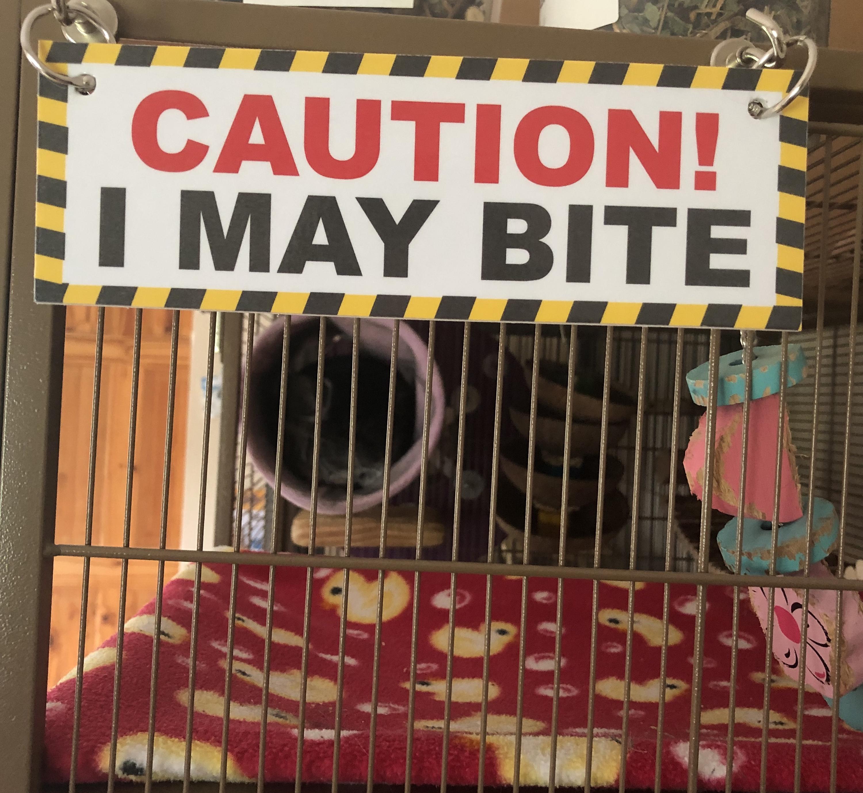 Caution! I May Bite Indoor Warning Sign - Etsy