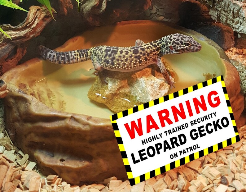 Novelty Warning Sign for Leopard Gecko Owners - Etsy