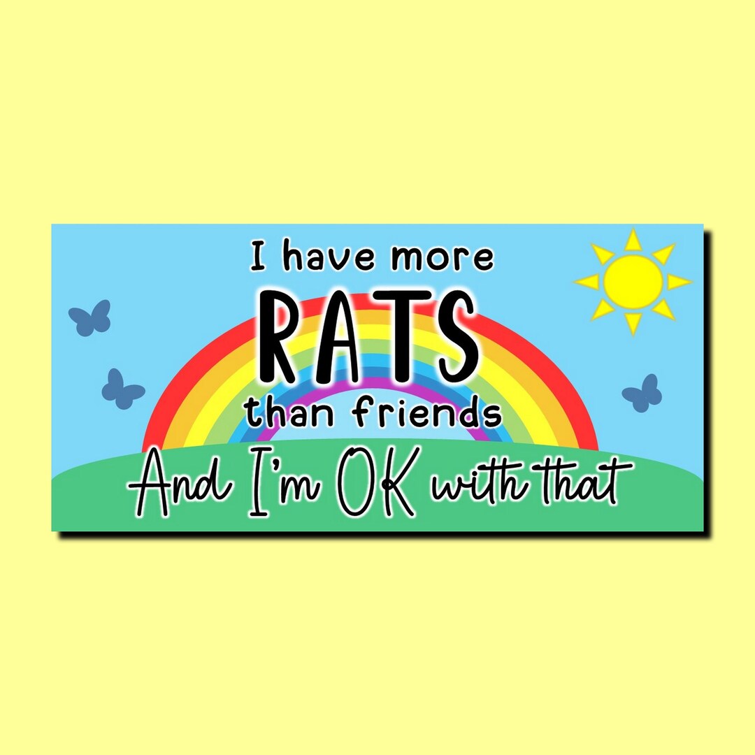 Novelty Fun Sign for Rat Owners 'I Have More RATS Than Friends and I'm ...