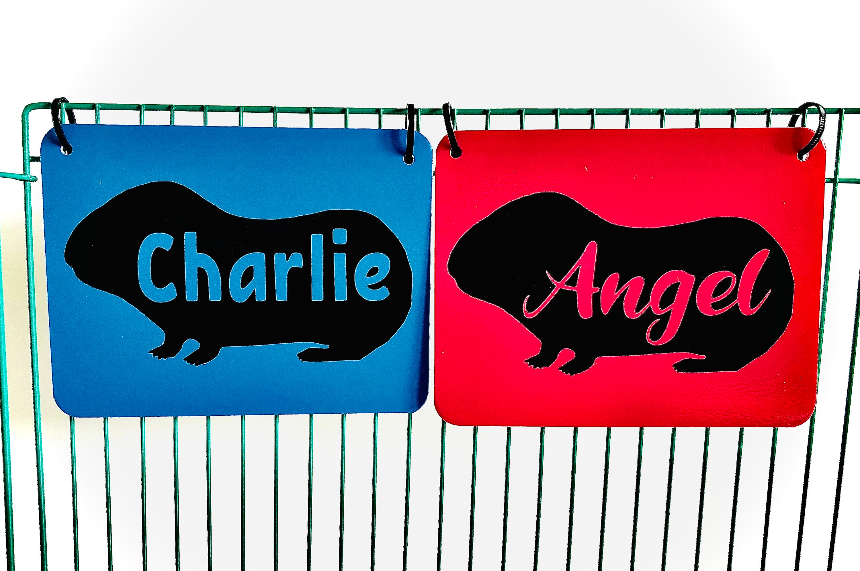 Outdoor Guinea Pig Name Sign for Hutch or Cage - Etsy