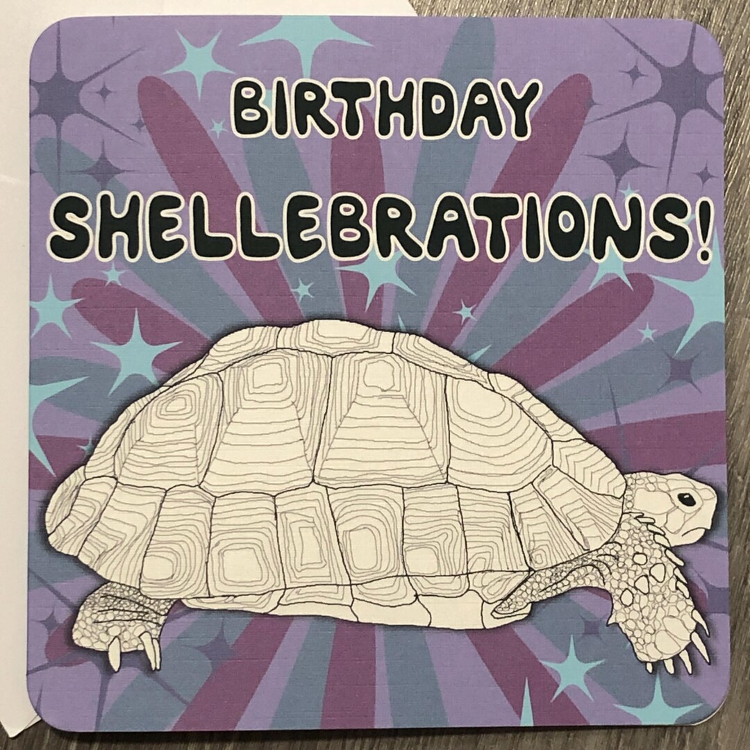 Tortoise Birthday Card - Birthday Shellebrations! - Etsy